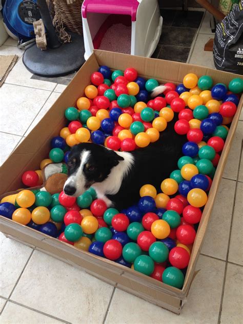 10 Totally Paw Some Dog Birthday Party Ideas Artofit