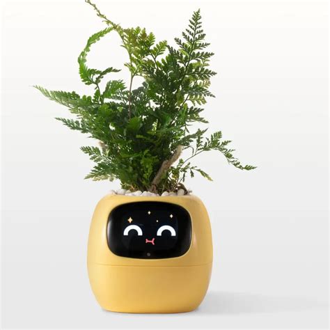 Smart Planter With Ai Technology Guidantech