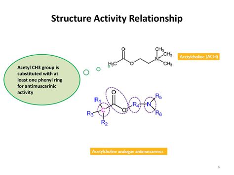 Cholinergic Agents 2 Cholinergic Antagonists Ppt Download