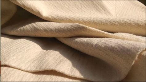 Beige Bamboo Fabric Plainsolids At ₹ 1500meter In Ellenabad Id