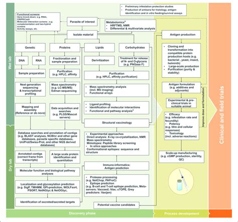 Diagrammatic Workflow For Identification And Evaluation Of Next