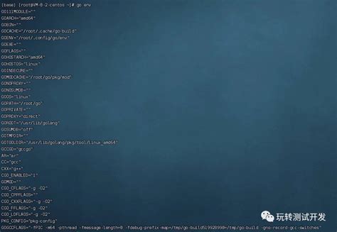 Linux安装go环境 Golang教程网