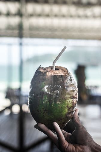 해변 배경이있는 키오스크 내부에 빨대를 들고 코코넛을 들고있는 손 건강한 생활방식에 대한 스톡 사진 및 기타 이미지 건강한 생활방식 건강한 식생활 과일 Istock