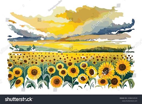 Sunflower Field Sunset Over 506 Royalty Free Licensable Stock Vectors