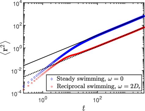 Figure From Effect Of Speed Fluctuations On The Collective Dynamics