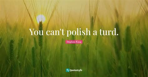 You Cant Polish A Turd Quote By Stephen King Quoteslyfe