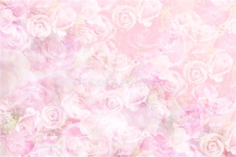 Fond Rose De Pastel Image Stock Image Du Couleur Roses 51187347