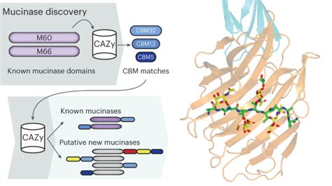 Nature Catalysis X Mol