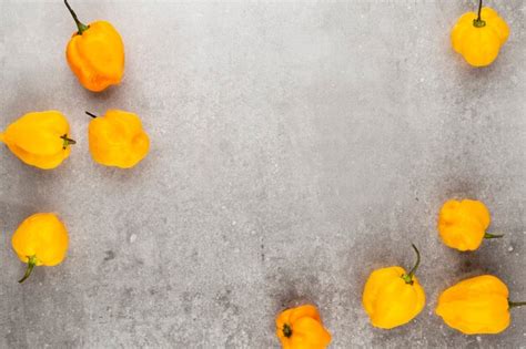 Premium Photo Chilli Pattern With A Pastel Background Pattern Background Design