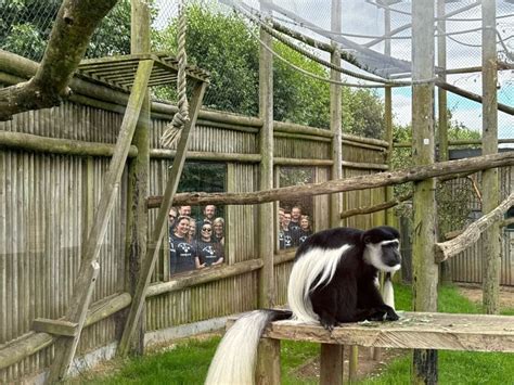 Louise Bateman On Linkedin Great Day Today With The Management Team At Bedfont Scientific Ltd We