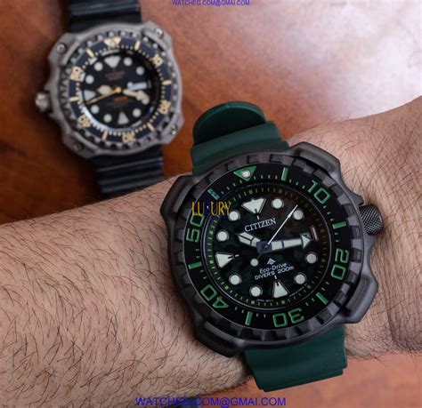 Citizen Eco Drive Promaster 200m And Professional Diver 1300m Watches