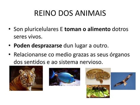 Clasificación dos seres vivos en reinos PPT Free Download