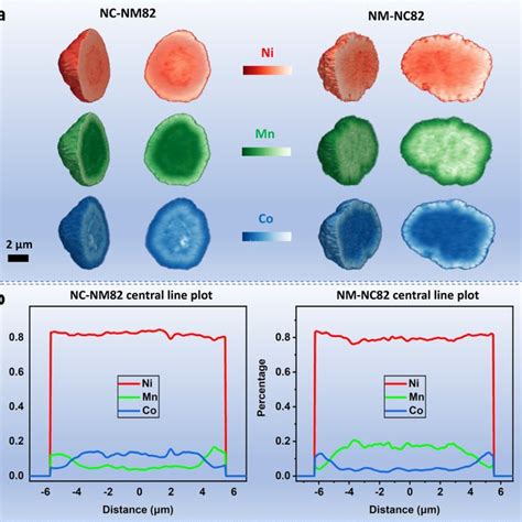 Nanoscale Structure Variation Within Concentration Gradient Cathodes