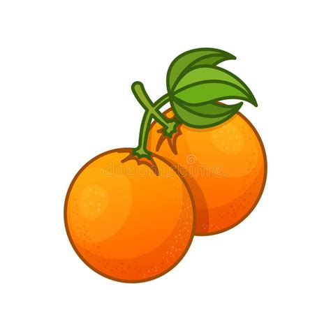Orange Fruit Icon In Cartoon Comic Style Clementine Vector Illustration On Isolated Background