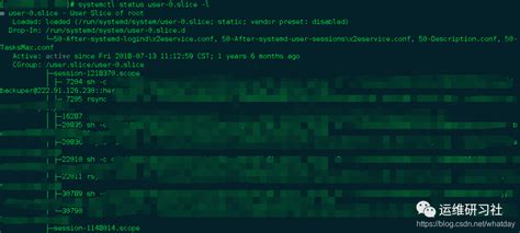 Linux Systemd Logind 进程cpu占用100 解决方法 Csdn博客