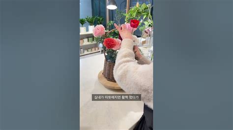 예쁘게해주세요‘ 색감으로 준비해드린승진과 생일 축하 꽃바구니 Youtube