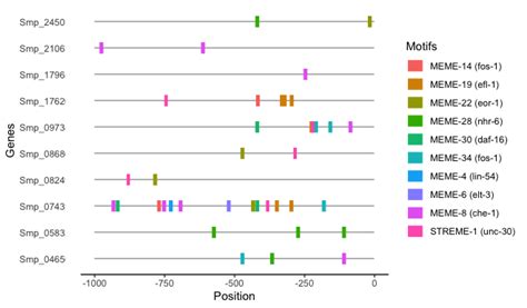 Visualising Gene Features Using Ggplot2