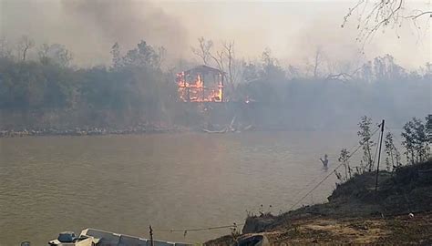 Actualidad Incendios En Las Islas Del Delta Del Paraná Ponen En Riesgo
