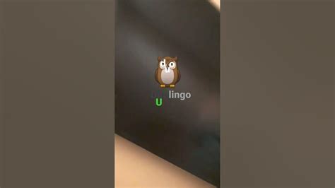 Old Duolingo Youtube