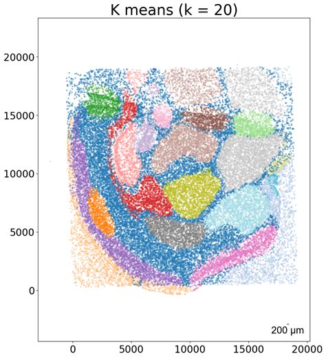 Demo 6 Using Cast To Align Starmap And Slideseq Data — Cast Latest