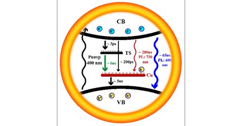 Effect Of Lattice Disorder On Exciton Dynamics In Copper Doped Inp