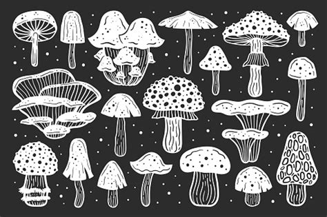 Seperangkat Besar Jamur Hutan Ilustrasi Vektor Tinta Sidik Jari Linocut