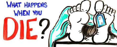 Watch This Is Exactly What Happens When You Die Sciencealert