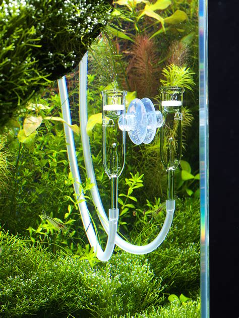 Ada Co2 System Improving Photosynthesis By Co2 Injection En