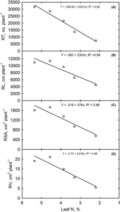 The Relationships Between Leaf N And Root Growth Parameters A Number Download Scientific
