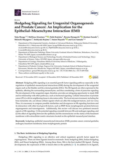 Pdf Hedgehog Signaling For Urogenital Organogenesis And Prostate