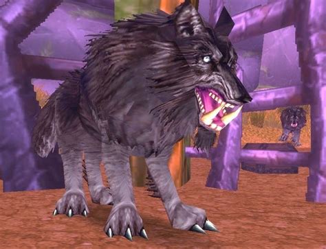 Dark Worg Npc Wotlk Classic