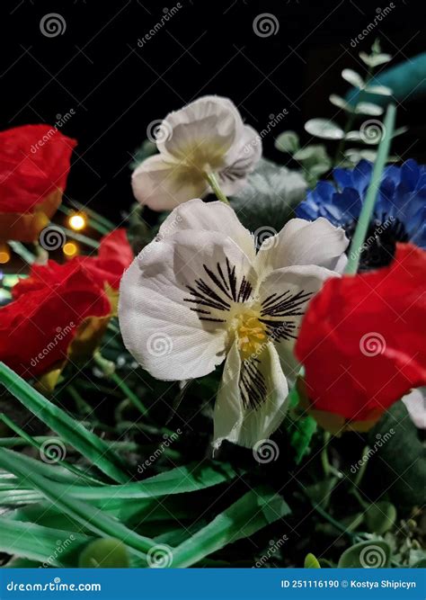 Flores Blancas Rojas Y Azules Con Hojas Verdes En Una Calle Nocturna
