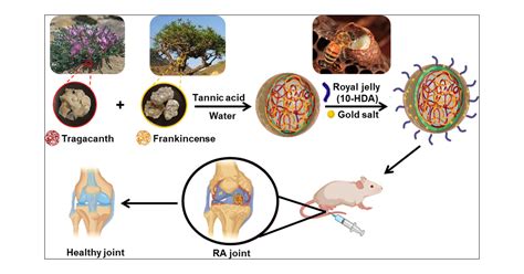 Simultaneous Immunomodulation And Tissue Protection On The Rheumatoid Arthritis Models Using A