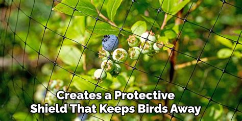 How To Use Bird Netting For Garden Helpful Guide