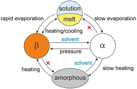 Shape Preserving Single Crystal To Amorphous To Single Crystal Polymorphic Transformation Is