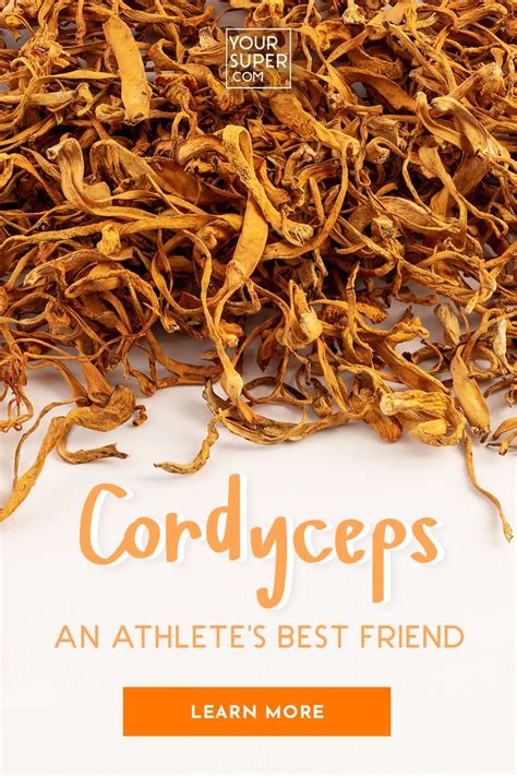 Cordyceps Benefits 6 Ways This Fungus May Improve Your Health