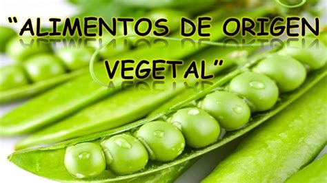 Alimentos De Origen Vegetal Para NiÃ±os Tesama