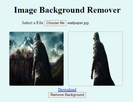 Create An Image Background Remover App Using Html Css Javascript