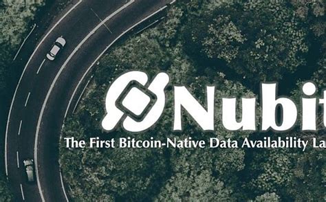 Nubit The Modular Indexer That Will Change Bitcoin