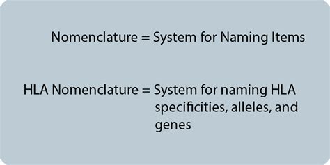 History Of Hla Nomenclature The 1960s Hla Help