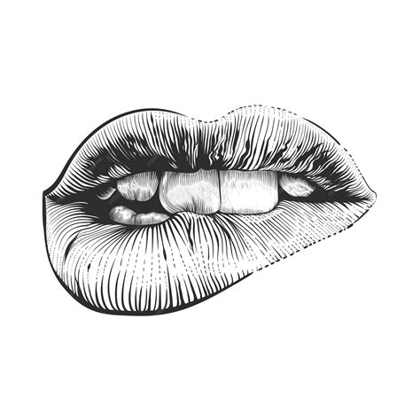 Ilustración De Contorno Vectorial De Labios Sexy De Mujer Estilo