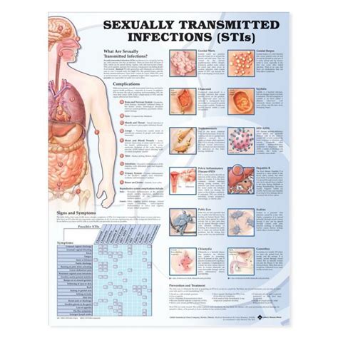 Common Rashes Infographic Nursing School Nurse Nursing Tips