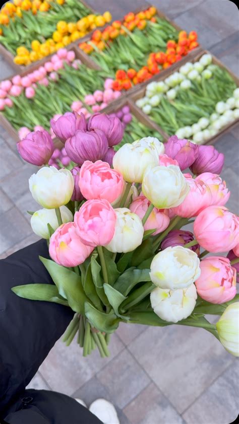 Flower House 🌷Піоновидні тюльпани гелеві 🔸5 відтінків 🔸У пучку 3 гілки з розкритими квітками 5