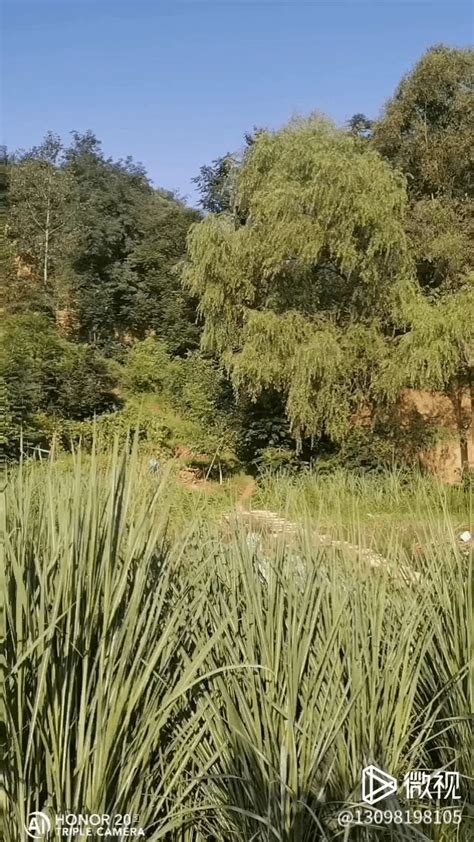 铜川王家河的秋天