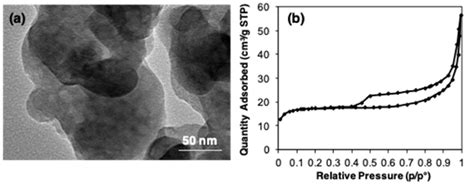 Porosity Analysis Of Huntly Gp Catalyst A Transmission Electron