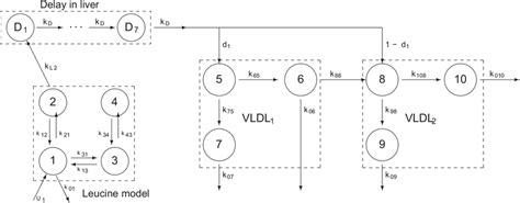 Model Structure Of Compartmental Model The Same Structural Model Was