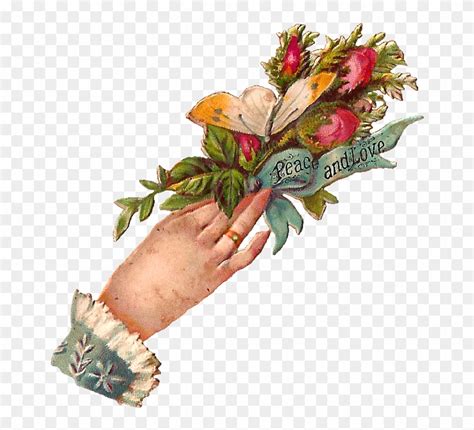 Free Womans Hands Cliparts Download Free Womans Hands Cliparts 3426006