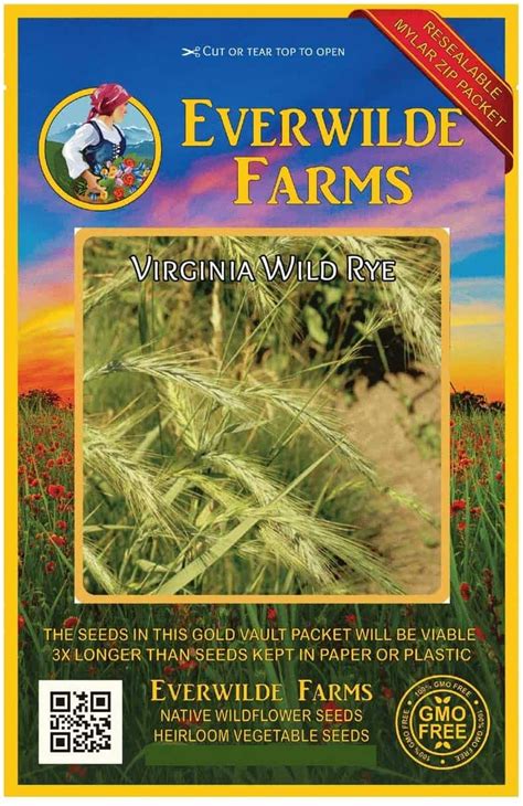 Follow Our Tips To Get The Best Grass Seed For Virginia Properly Rooted