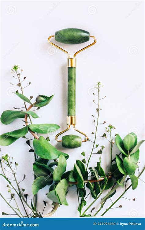 Jade Roller Facial Massager On A Background With Green Plants Stock