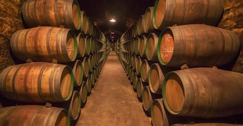 Wset Bitesize Why Do You Age Wine Wine And Spirit Education Trust